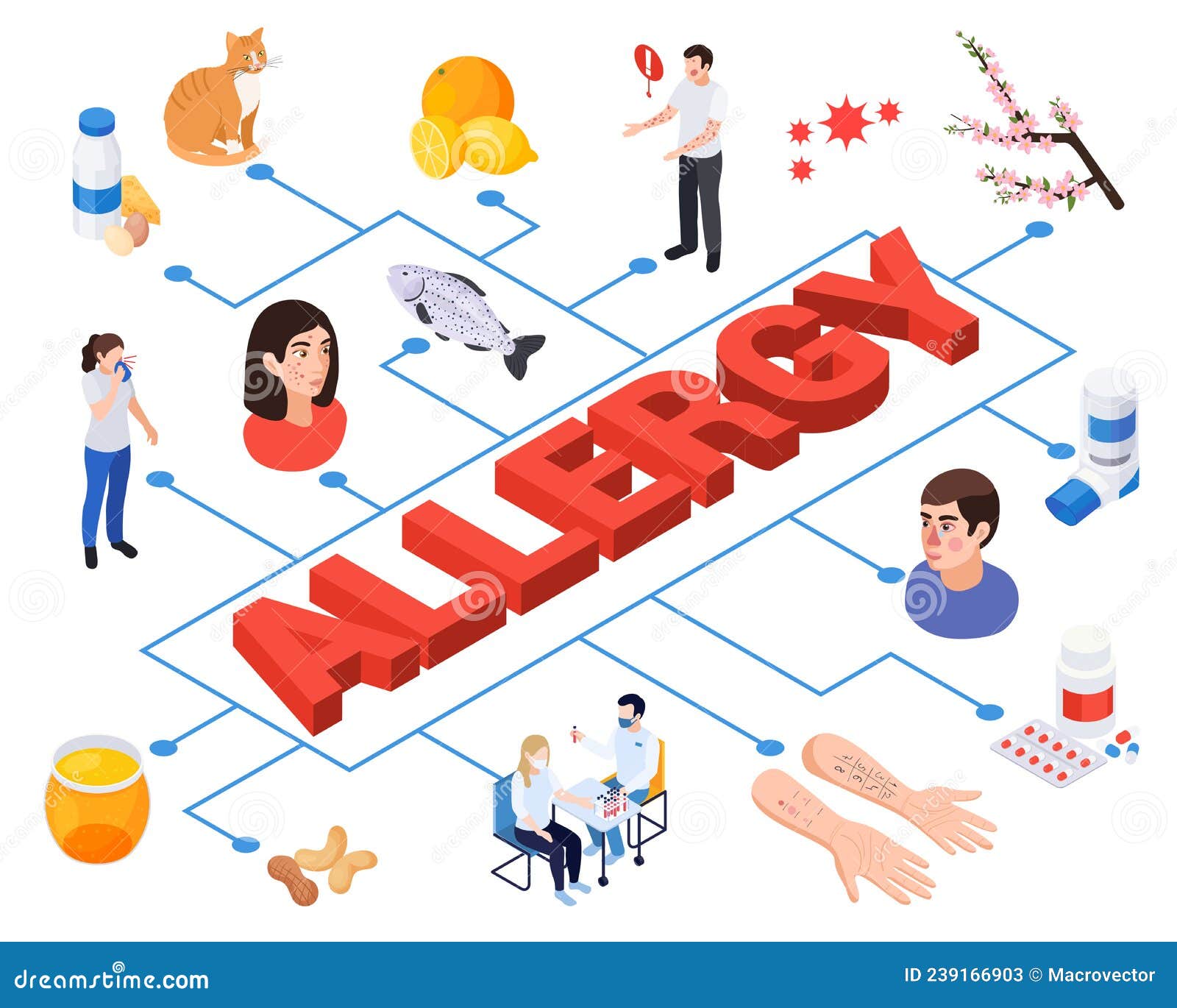 Allergy Isometric Flowchart Composition Stock Vector - Illustration of ...