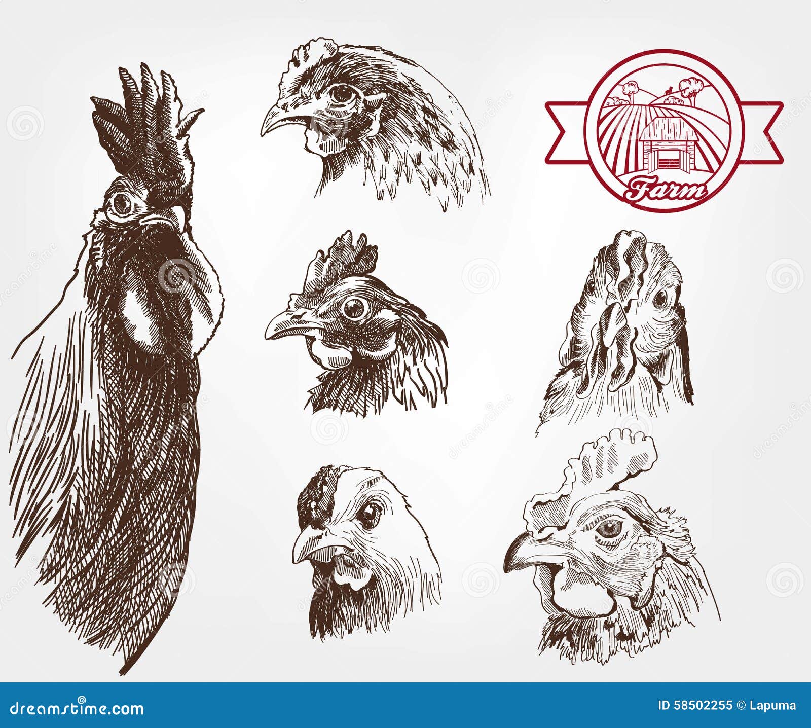 Allevamento di pollame illustrazione vettoriale. Illustrazione di arte ...