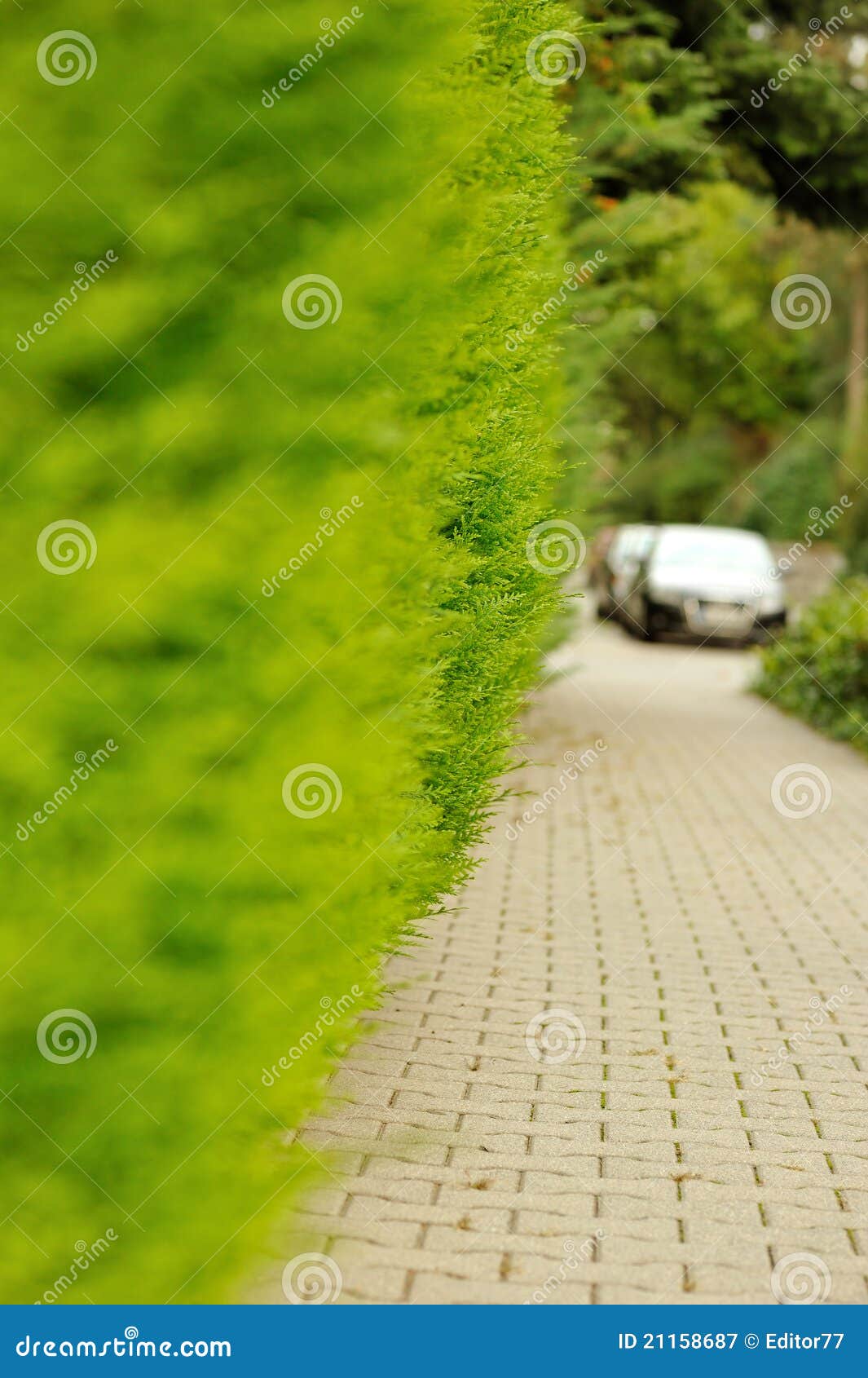 Paved alley stock image. Image of walk, travel, blur - 21158687