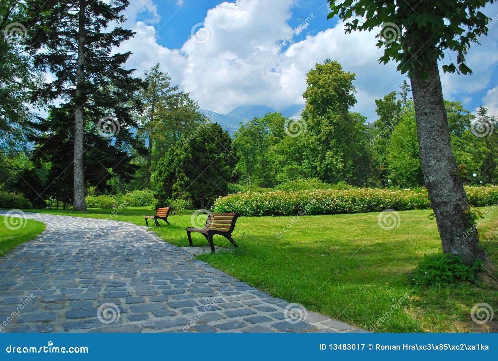 Alley with benches in park stock image. Image of bright - 13483017