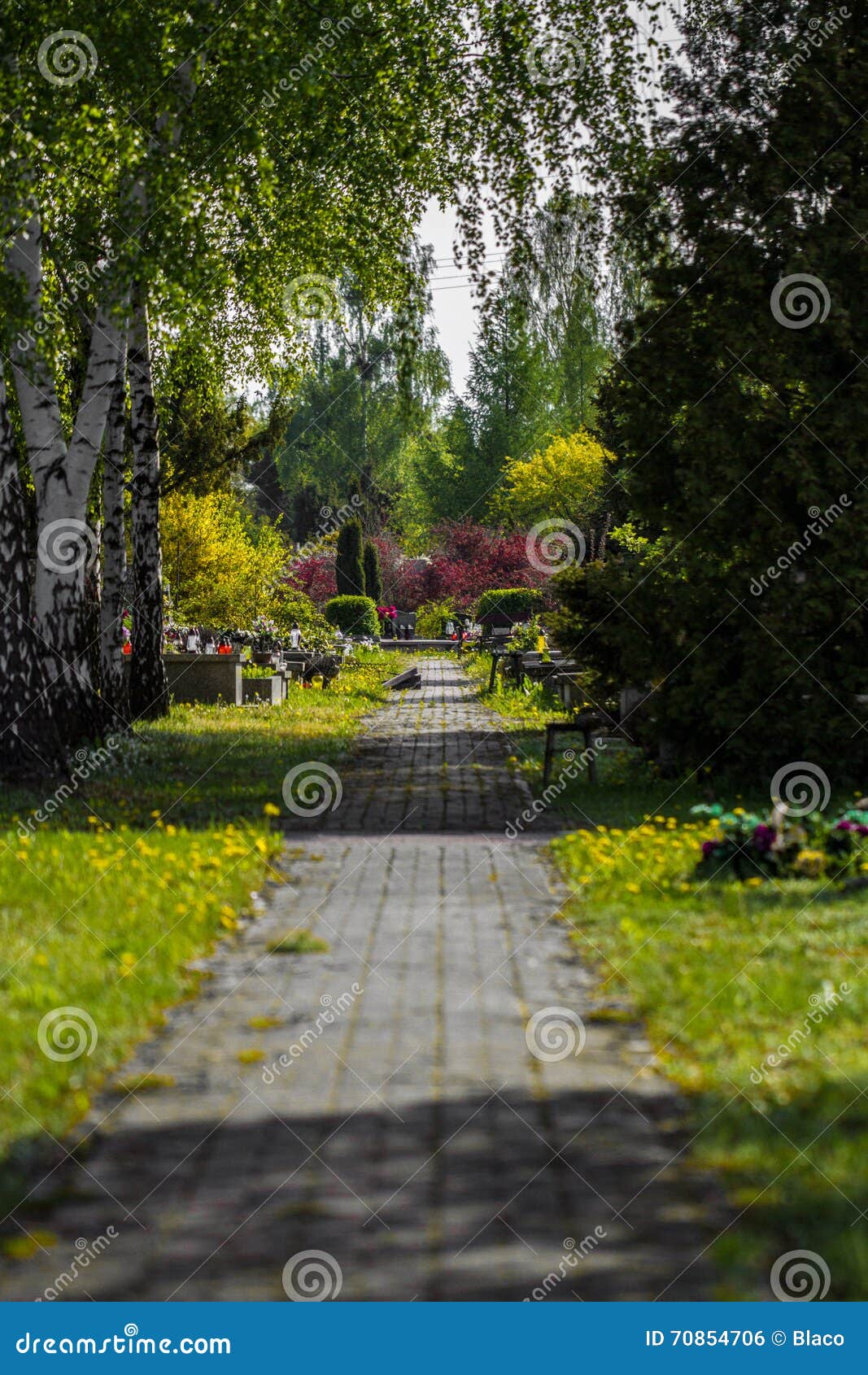 Alley cemetery stock photo. Image of natural, memorial - 70854706