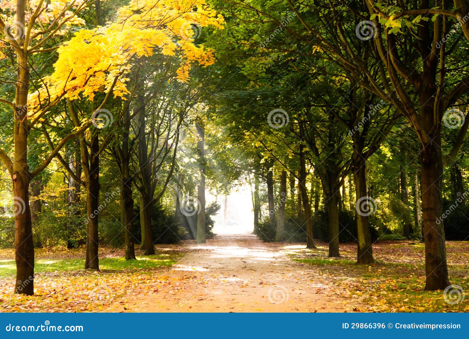 Beginning of autumn stock photo. Image of relaxation - 29866396