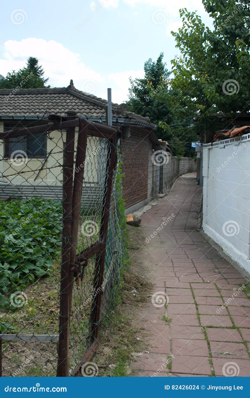 Alley stock photo. Image of picket, architect, outdoors - 82426024