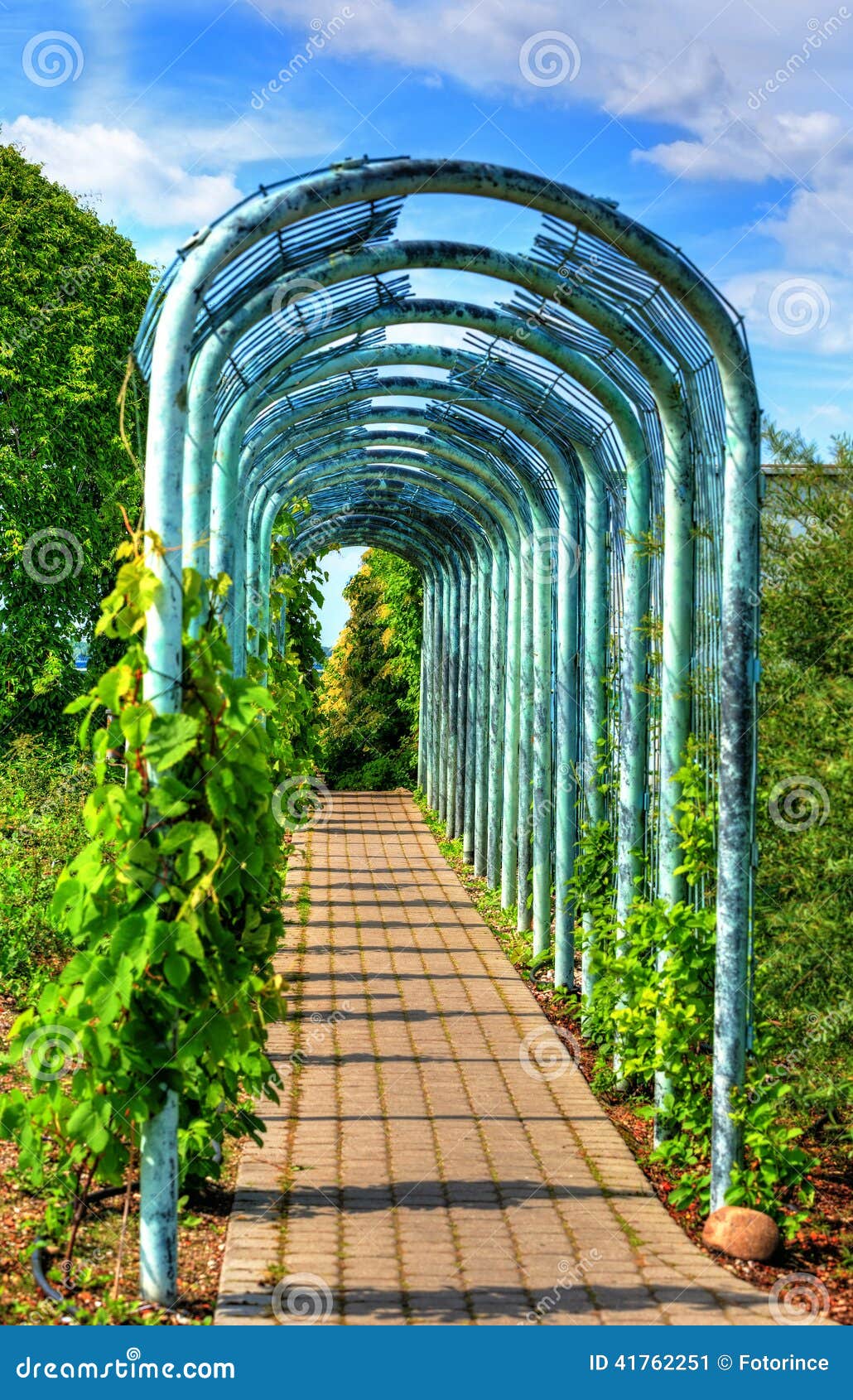Alley in the garden stock image. Image of walk, rural - 41762251