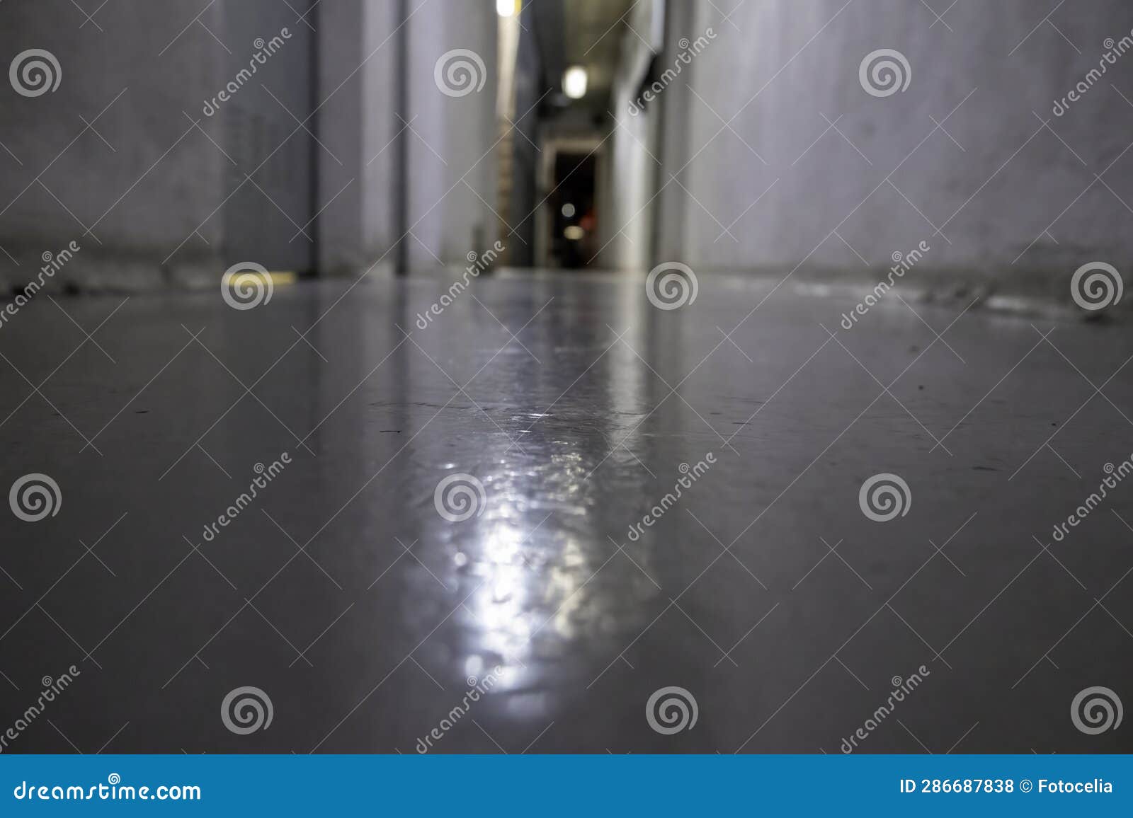 Alley hallway interior stock photo. Image of historic - 286687838