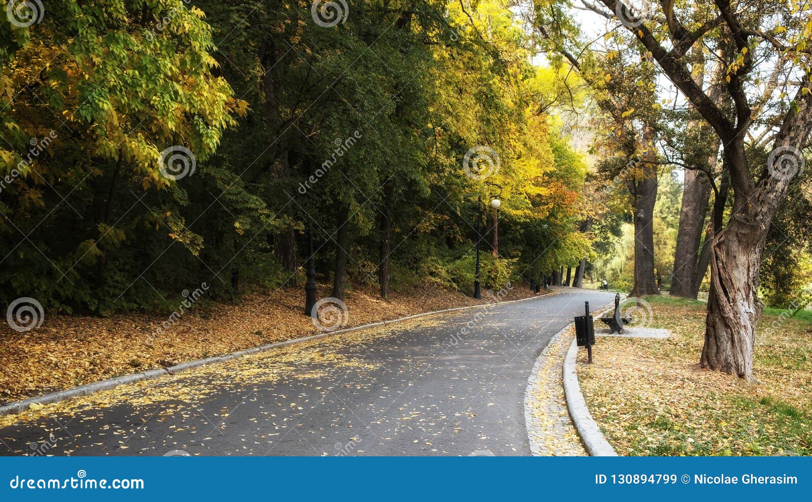 Alley in park stock image. Image of alley, road, asphalt - 130894799