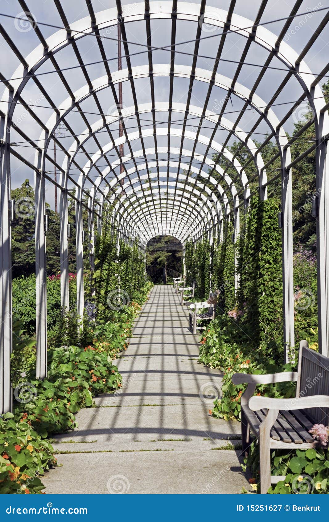 Alley in the Park in Minneapolis Stock Image - Image of garden ...