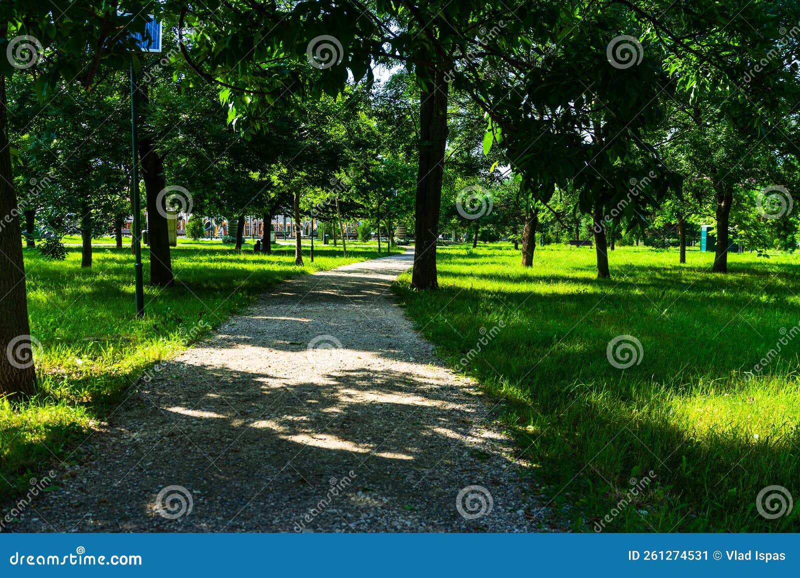 Alley in the Park - Summer Scenery Stock Image - Image of nature ...