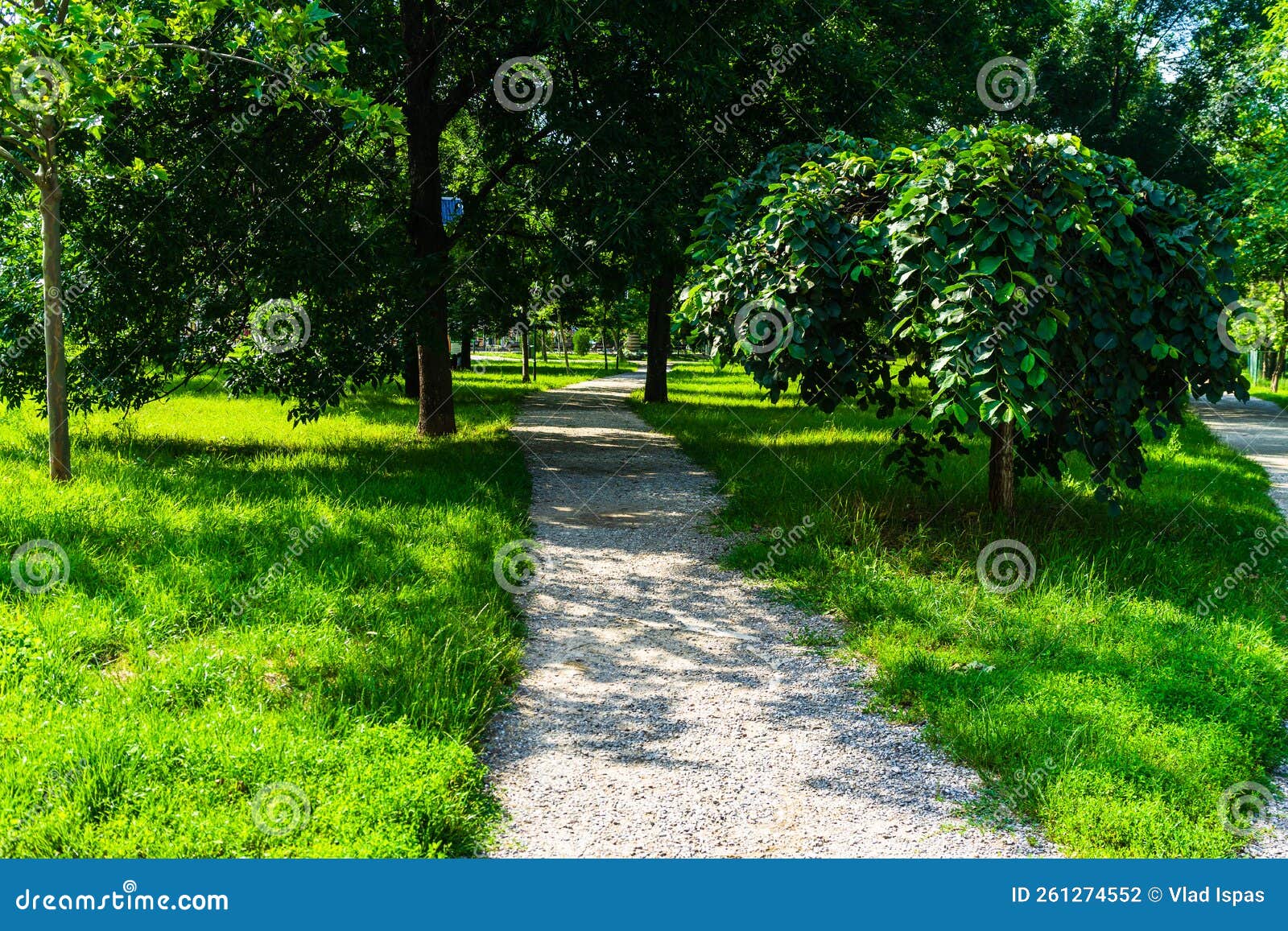 Alley in the Park - Summer Scenery Stock Photo - Image of leaf, nature ...