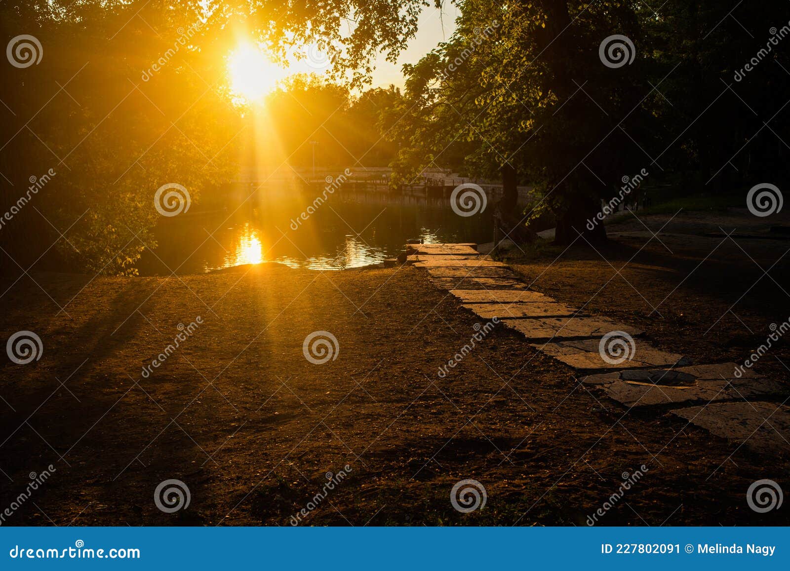 Alley in park at sunset stock image. Image of sunset - 227802091