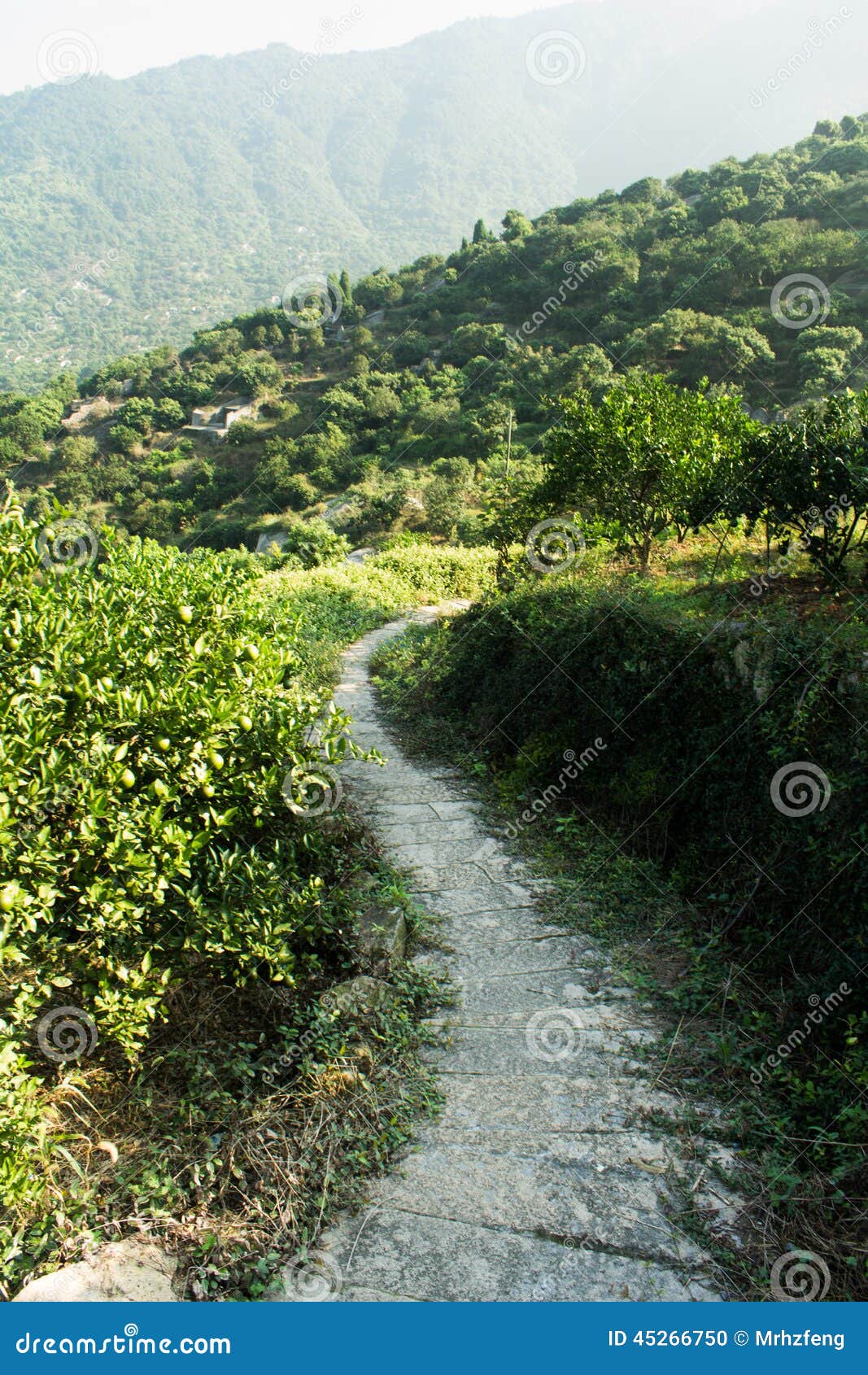 Alley stock photo. Image of straight, color, china, wire - 45266750