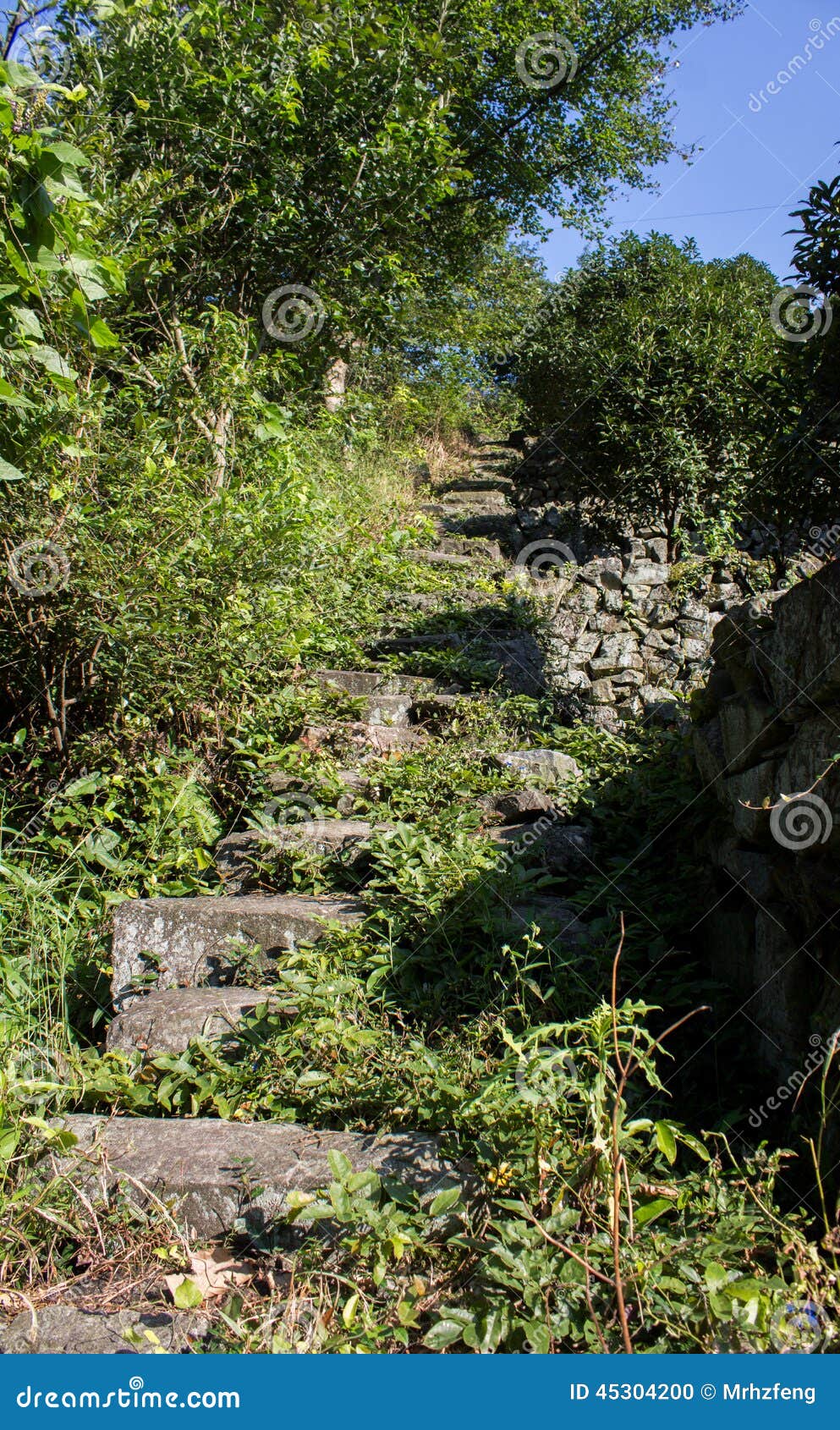 Alley stock photo. Image of distance, characteristic - 45304200