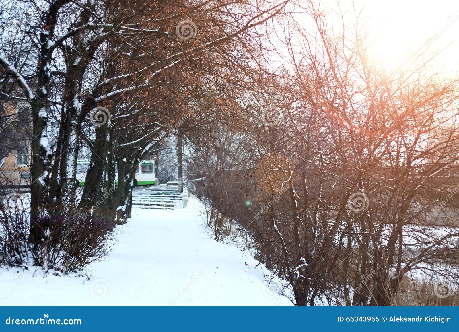 Alley pathway park winter stock image. Image of blue - 66343965