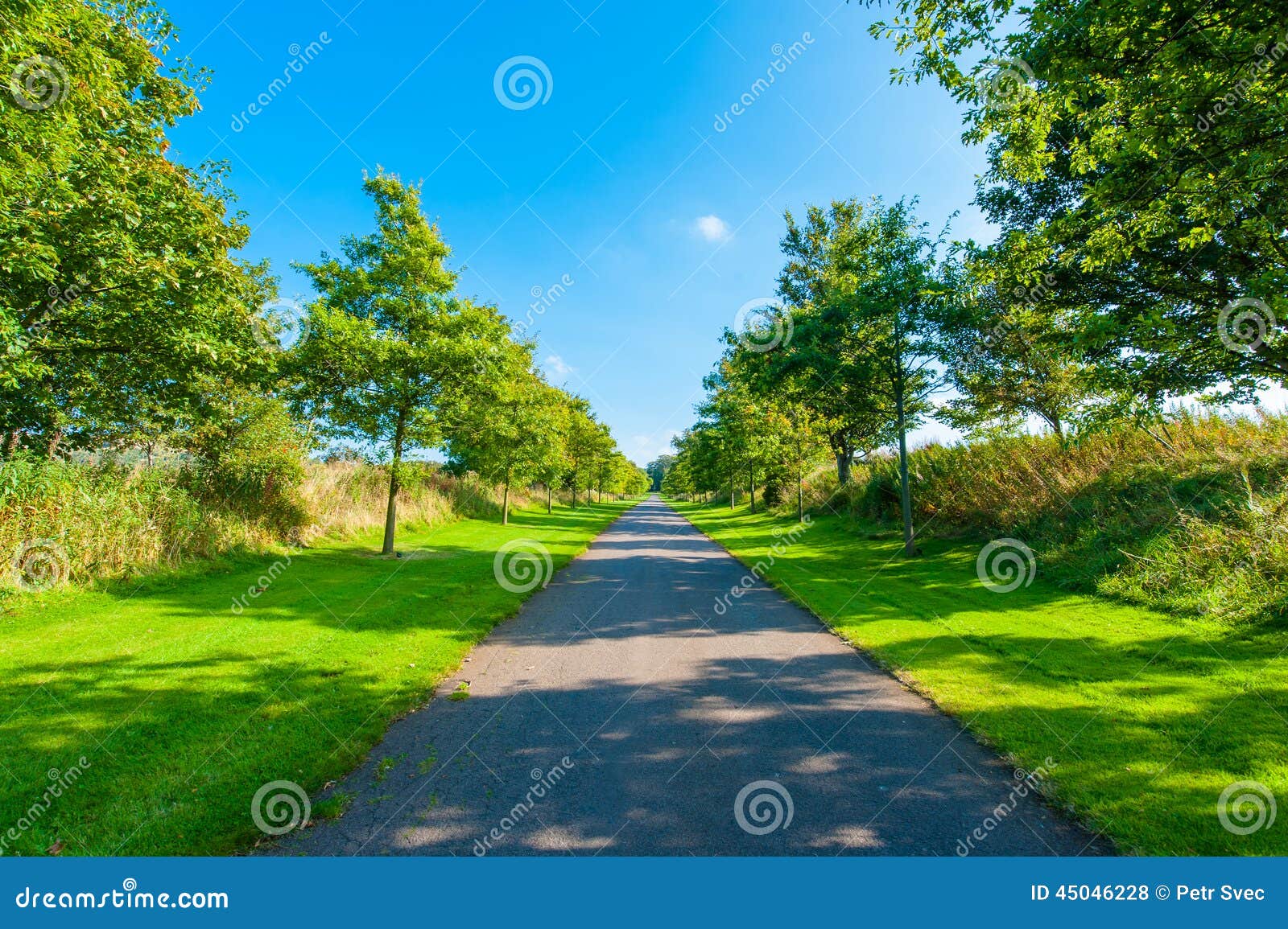Alley road stock photo. Image of scotland, road, field - 45046228
