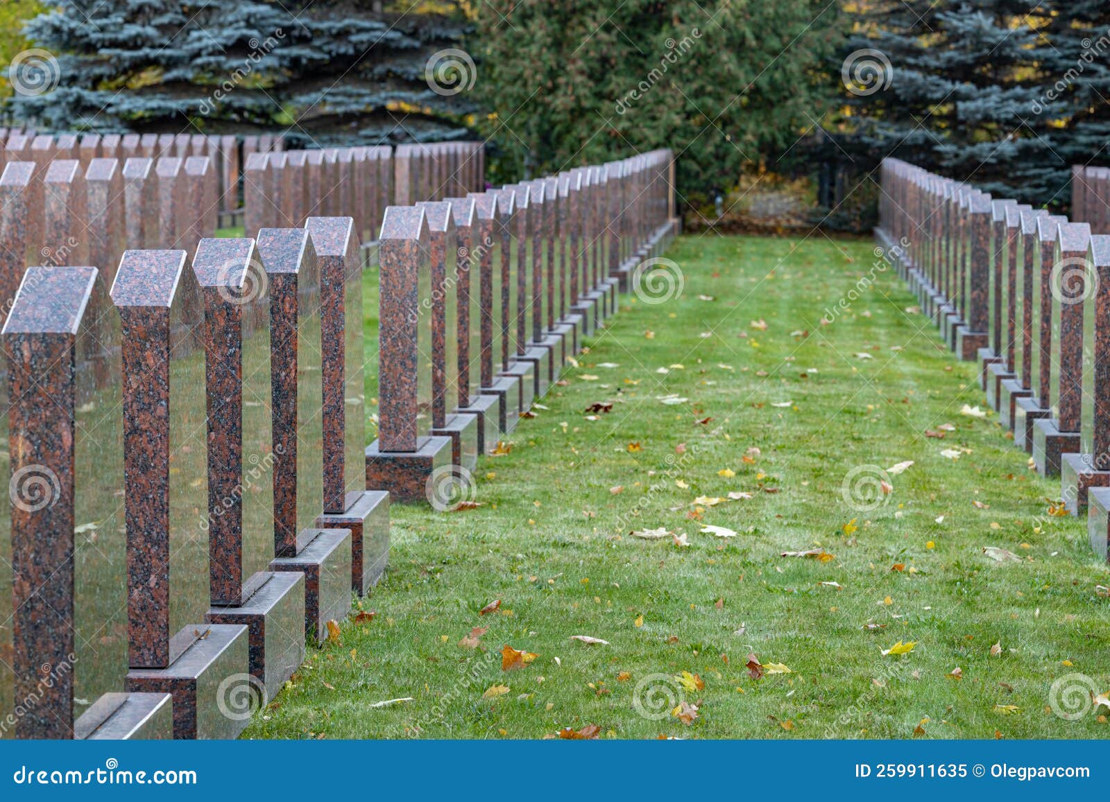 Alley of Stone Slabs in the Cemetery. Stock Image - Image of place ...