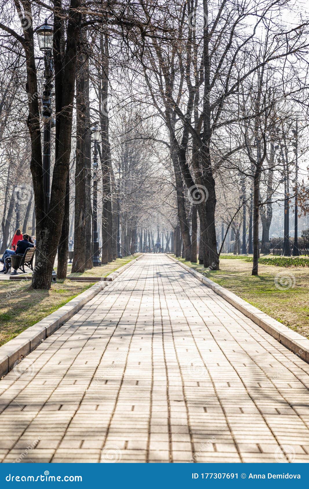 Alley for Walks in the Spring Park. Vertical Editorial Photo - Image of ...