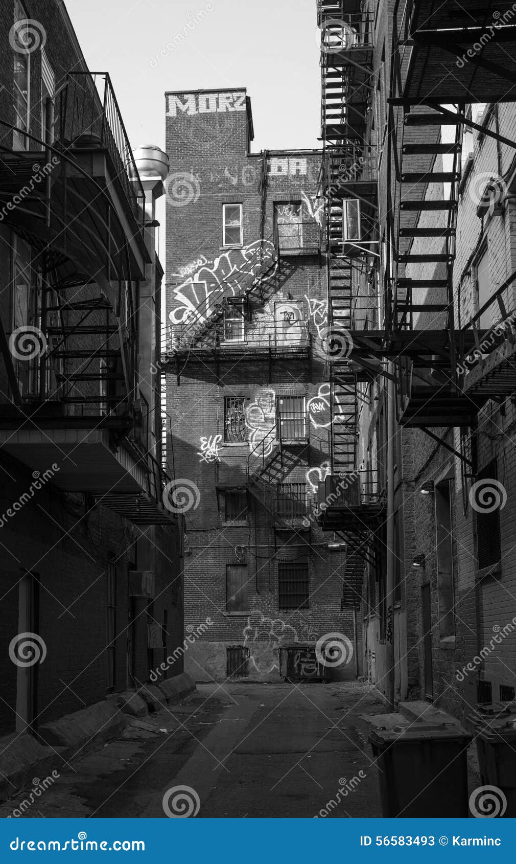 Alleyway with Graffiti and Fire Escapes Editorial Stock Photo - Image ...