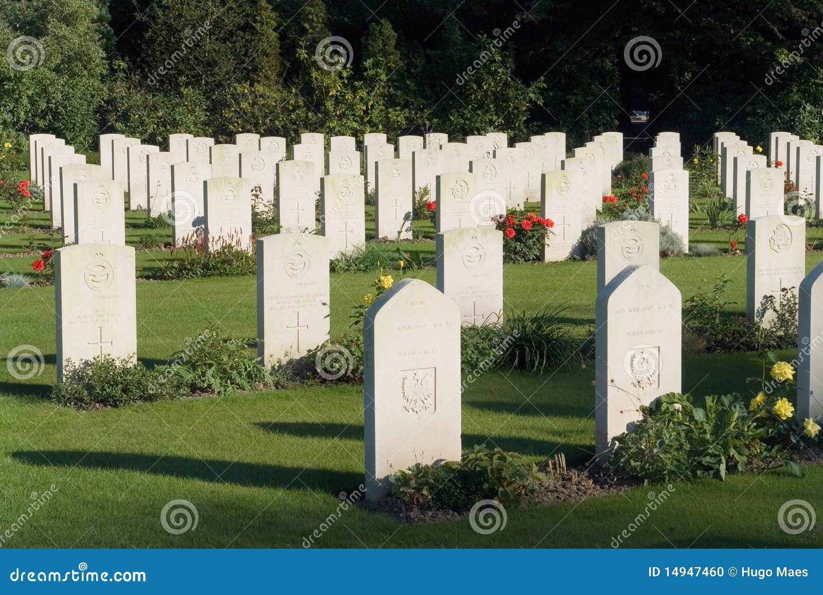 Allied War Cemetery stock photo. Image of battle, aligned - 14947460
