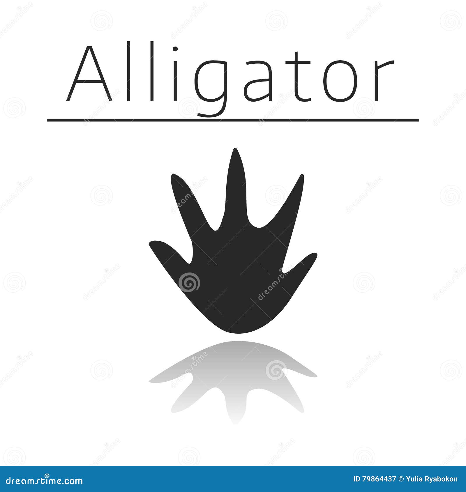 Alligator Animal Alphabet Symbol. English Letter A Isolated On White ...