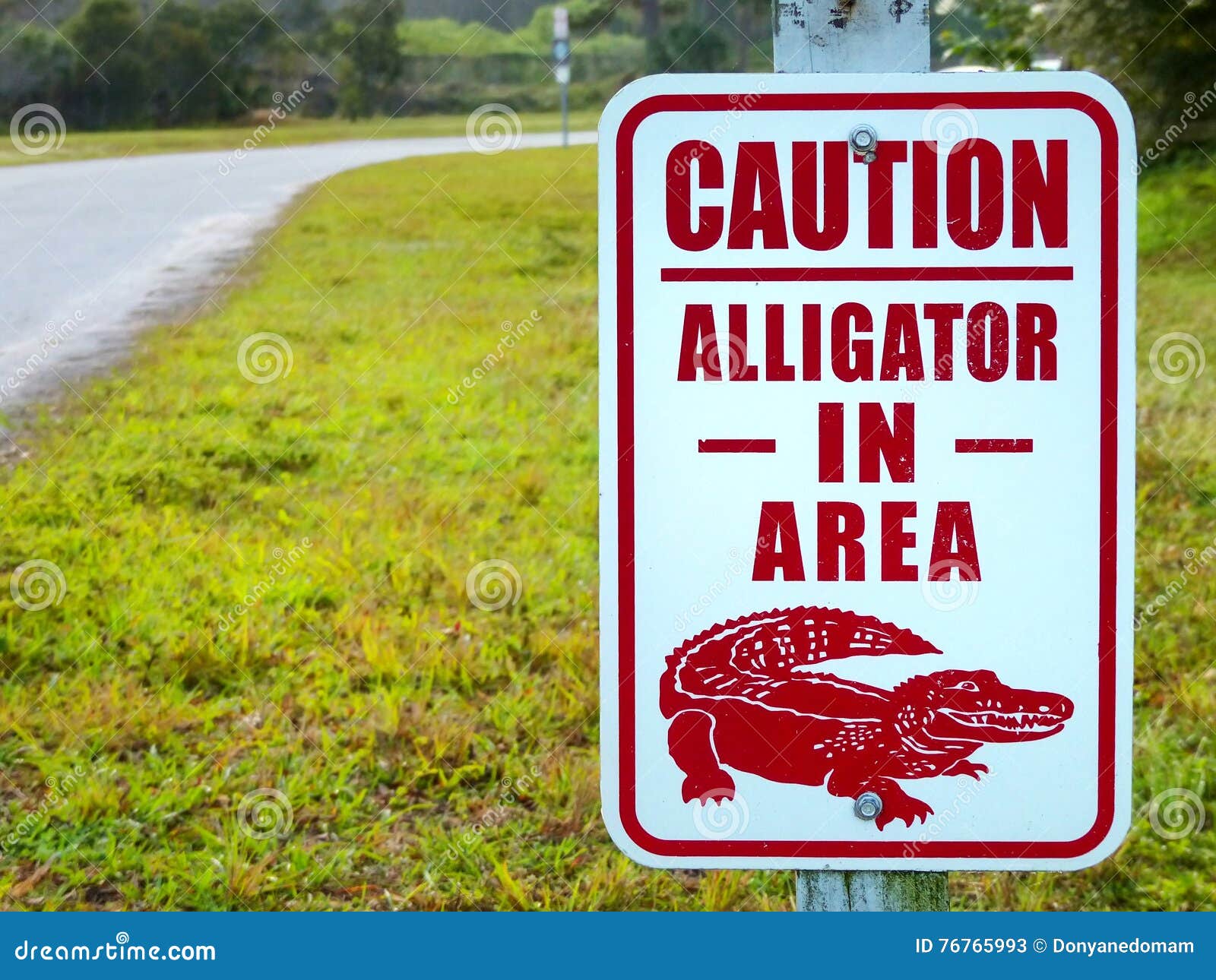 Alligator in the Area Caution Sign Stock Image - Image of north ...