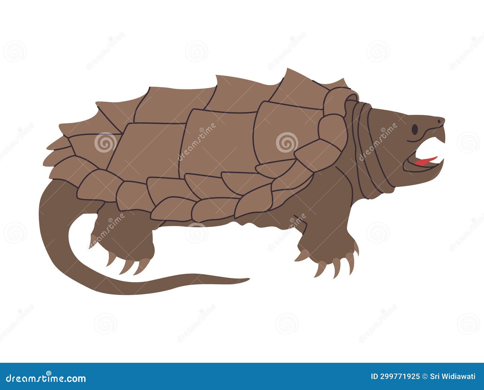 Alligator or Common Snapping Turtle Wild Reptile Animal with Mouth ...