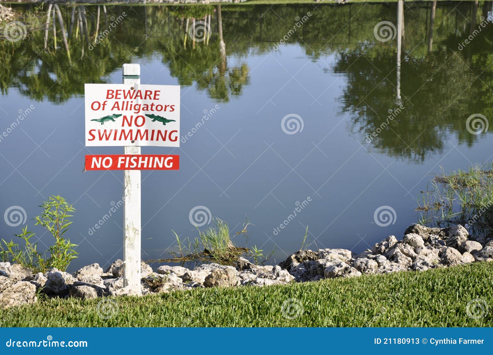 Alligator danger sign stock image. Image of reptile, caution - 21180913