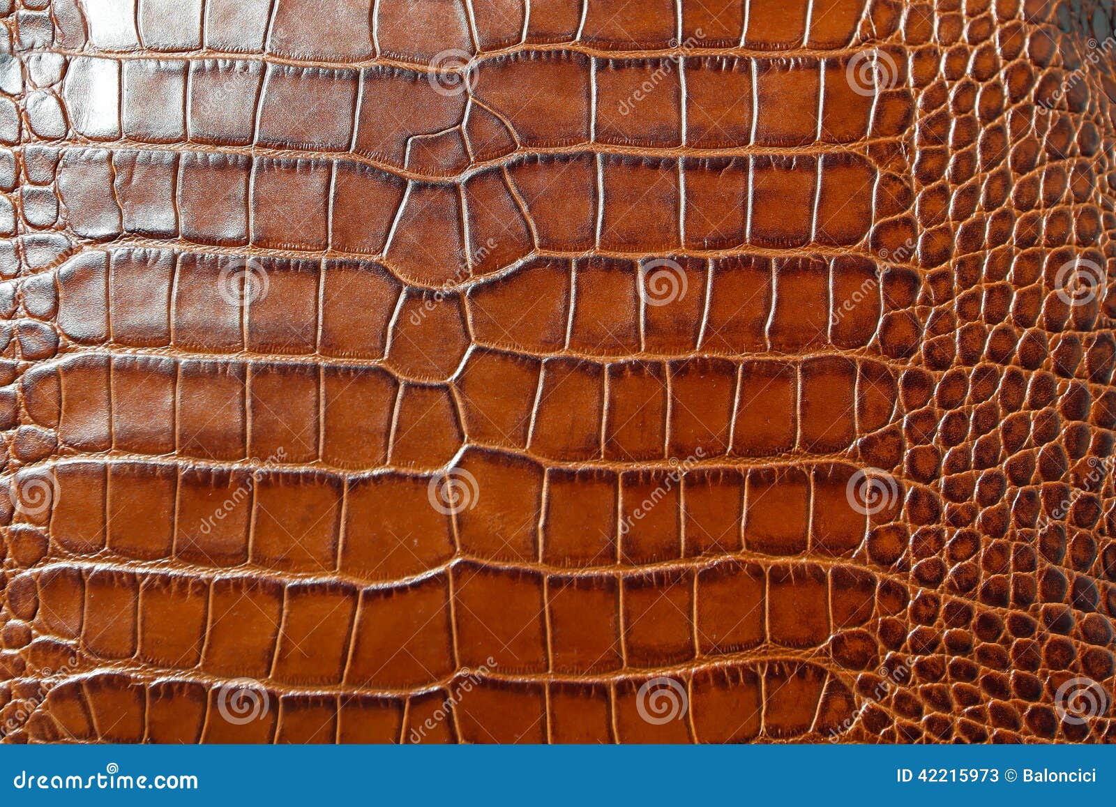 Alligator leather stock image. Image of print, crocodile - 42215973