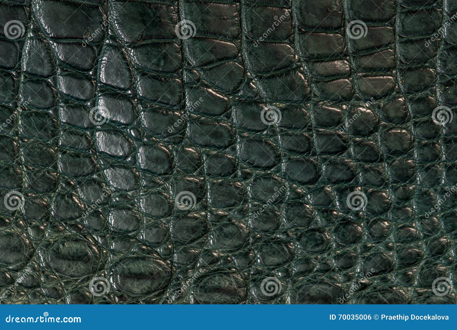 Alligator Toy, Green Crocodile Stock Photography | CartoonDealer.com ...