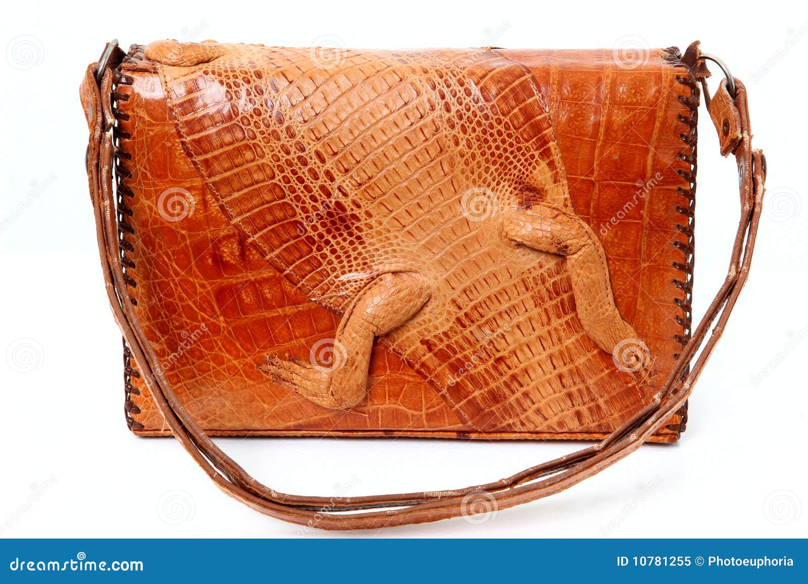 Alligator Purse stock image. Image of grain, purse, crocodile - 10781255