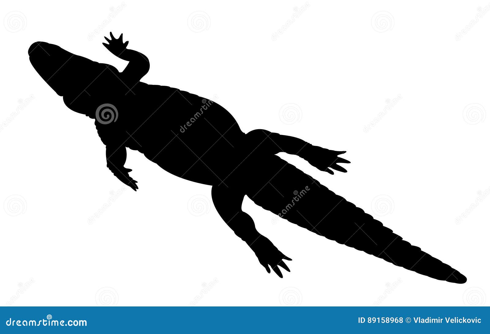 Alligator silhouette stock vector. Illustration of wildlife - 89158968