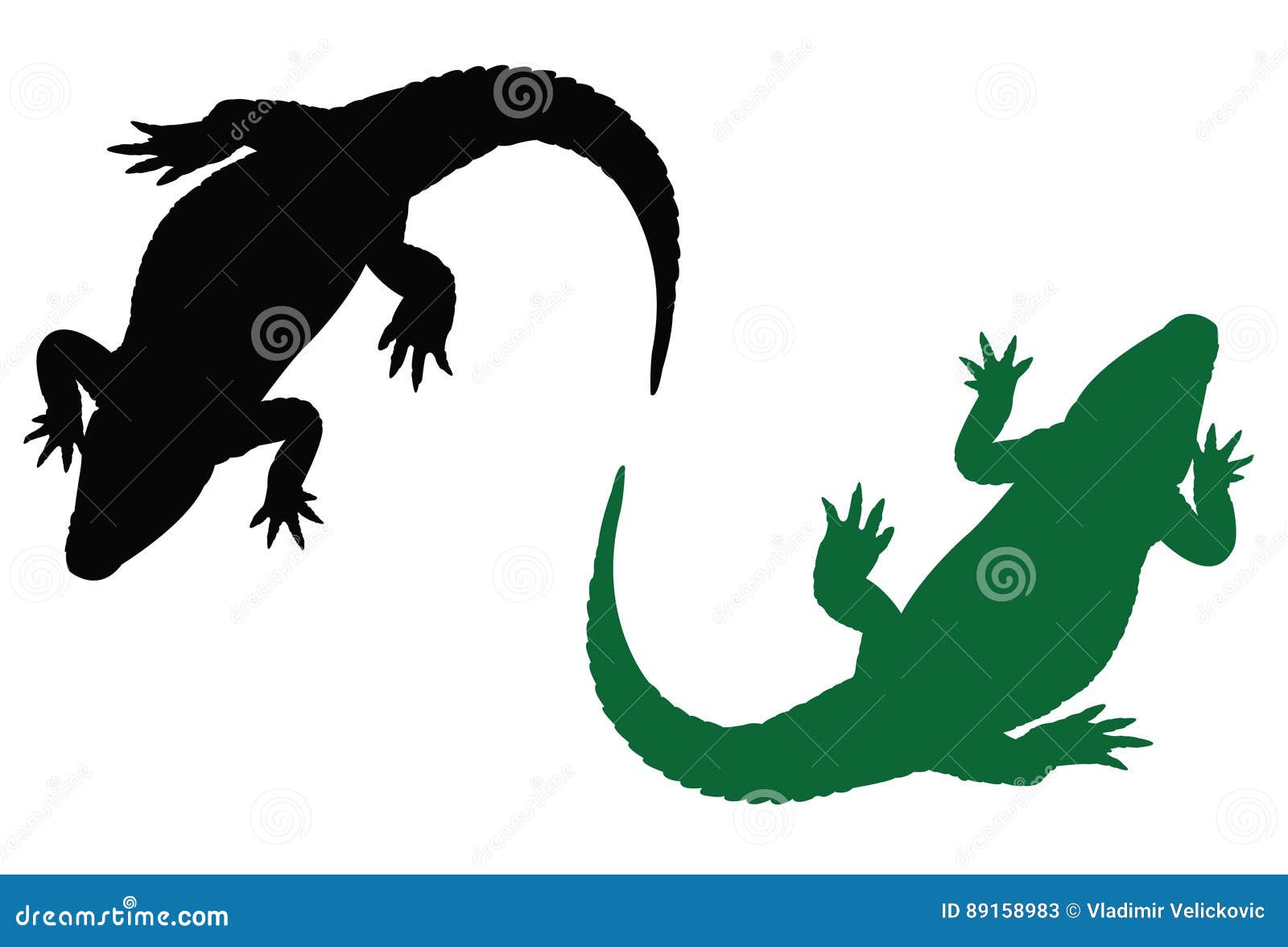 Alligator silhouette stock vector. Illustration of vertebrate - 89158983
