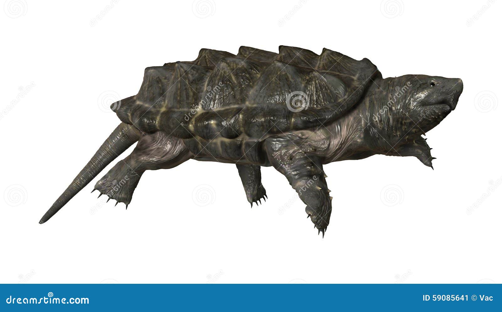 Snapping Turtle Bold Line Sport Style Logo Vector Illustration ...