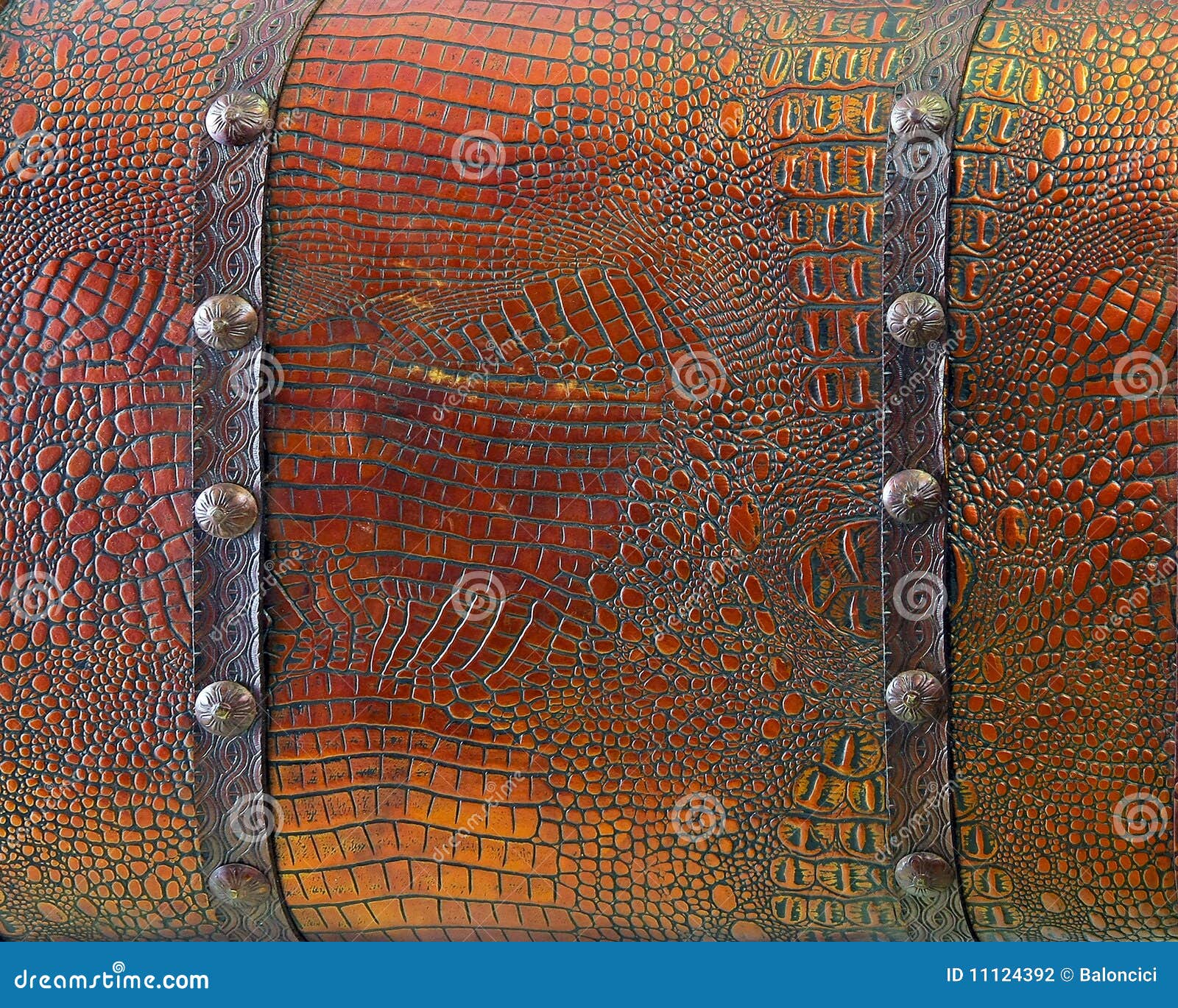 Alligator texture stock photo. Image of decor, style - 11124392