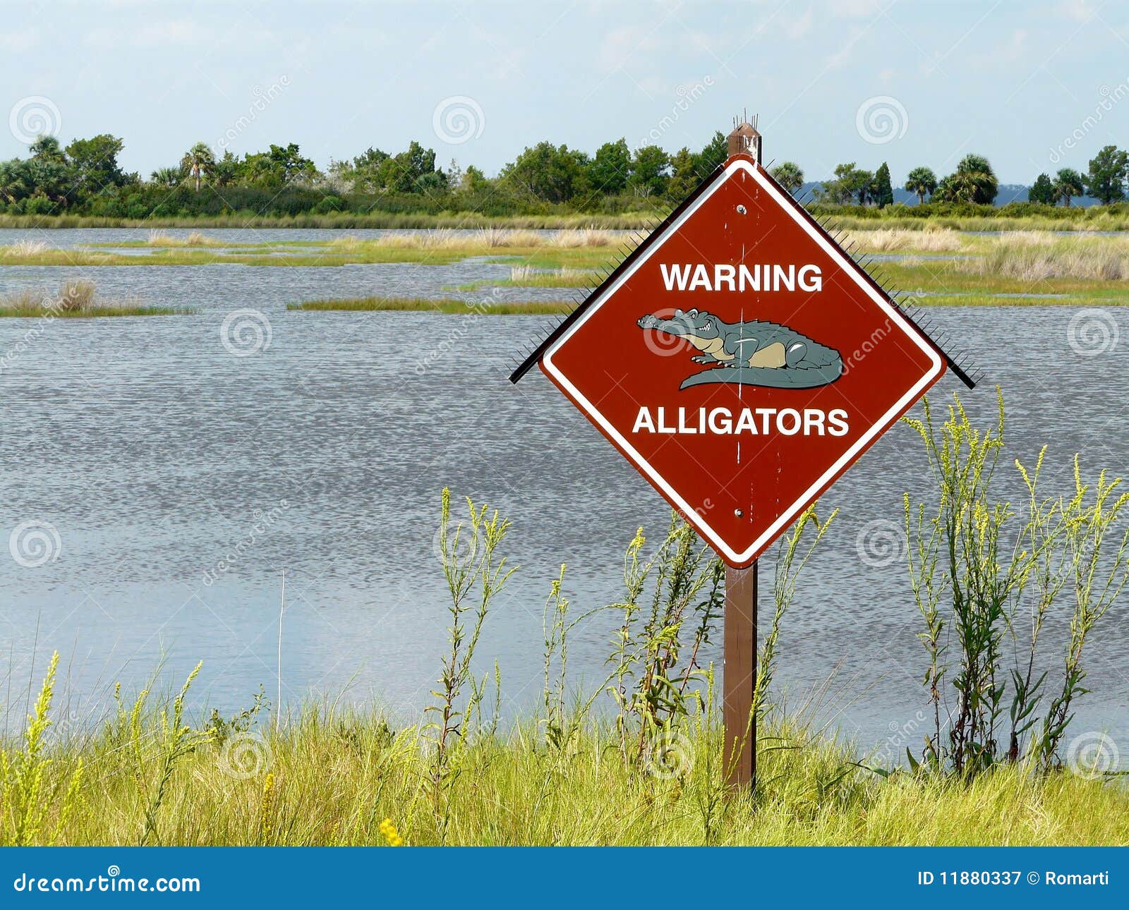Alligator Warning Sign stock image. Image of ecosystem - 11880337