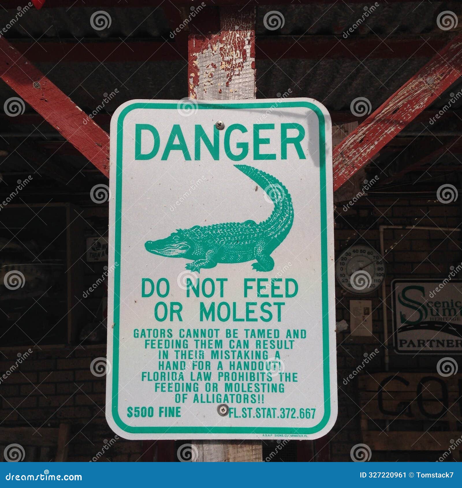 Alligator Warning Sign, Florida Editorial Photo - Image of warn ...
