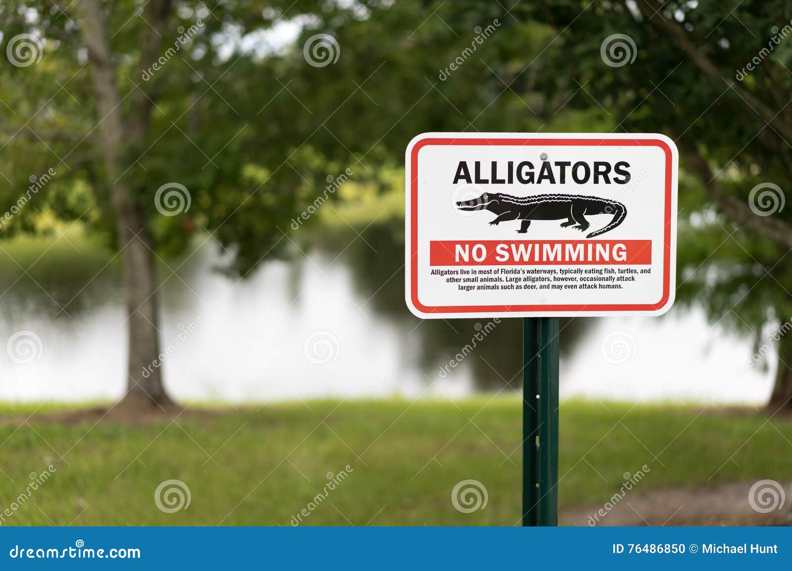 Alligator Warning Sign in Florida for Awareness of Imminent Dang Stock ...
