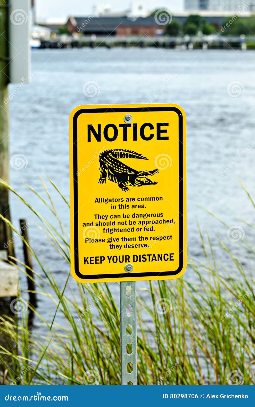 Alligator Warning Sign In Florida Royalty-Free Stock Photography ...