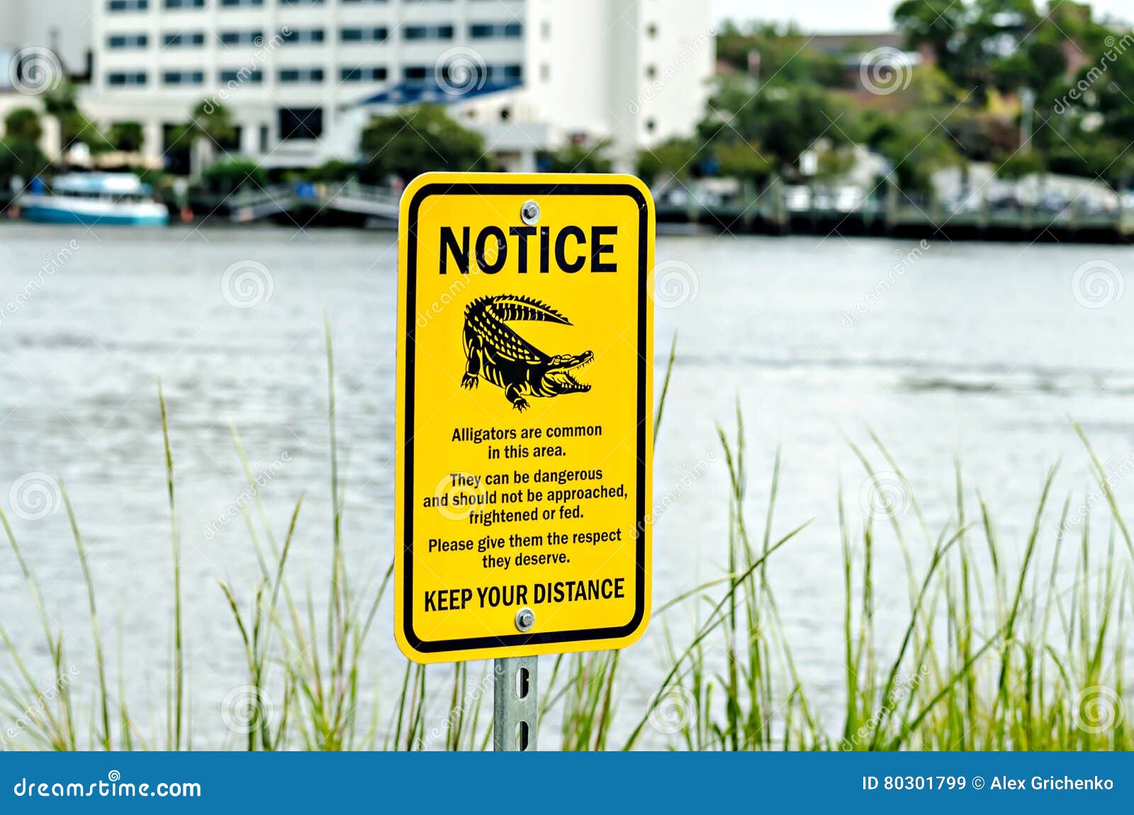 Alligator Warning Sign In Florida Royalty-Free Stock Photography ...