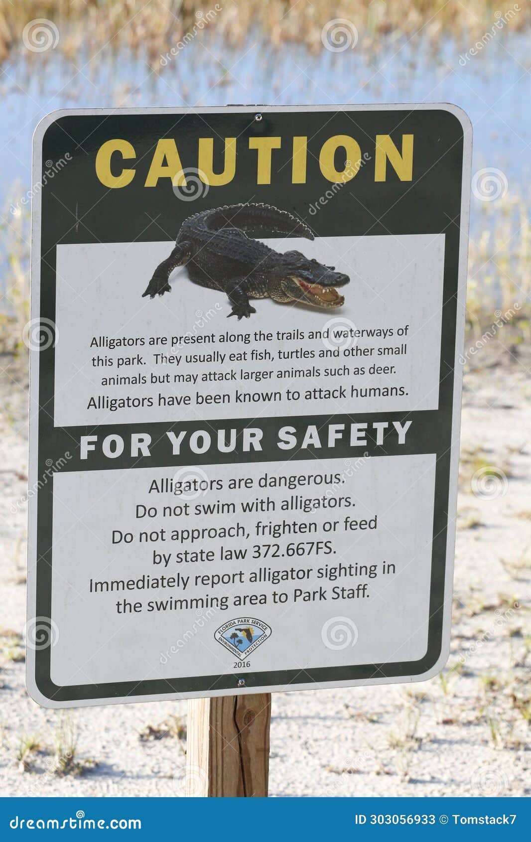 Alligator Warning Sign in Florida Editorial Stock Photo - Image of sign ...