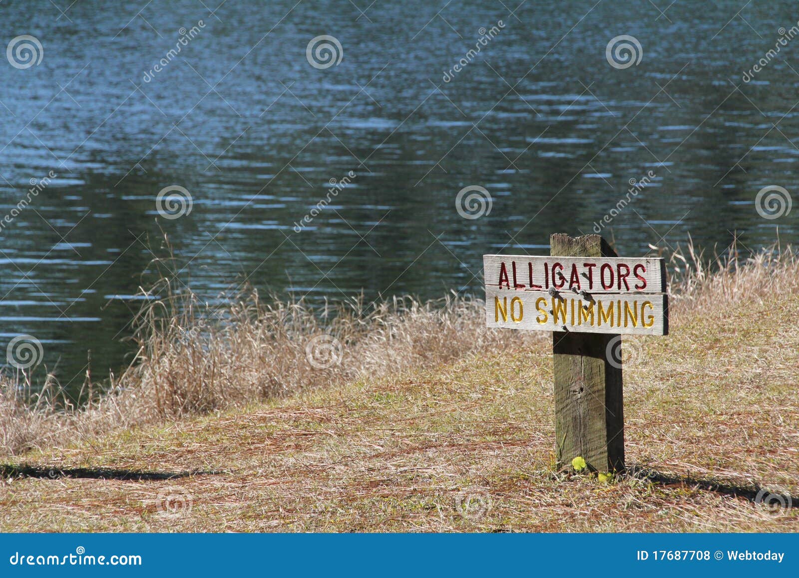 Alligators sign stock photo. Image of coast, refuge, park - 17687708