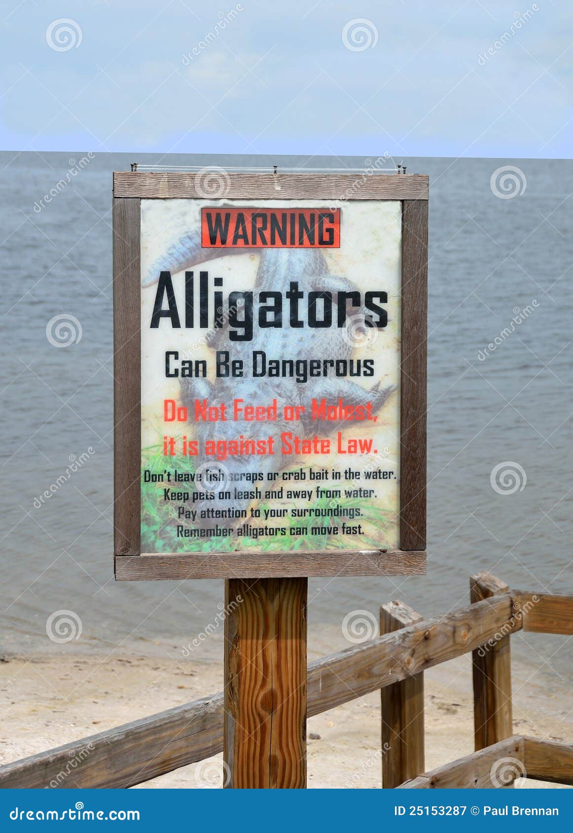 Alligators Warning Sign stock image. Image of dangerous - 25153287