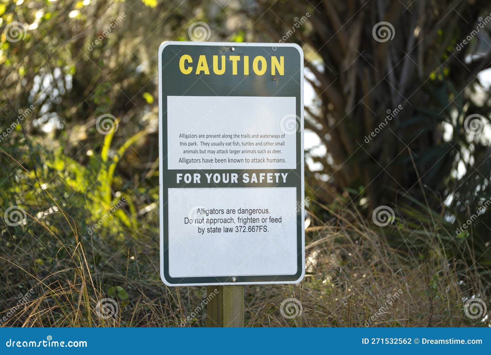 Alligators Warning Sign in Florida State Park about Caution and Safety ...