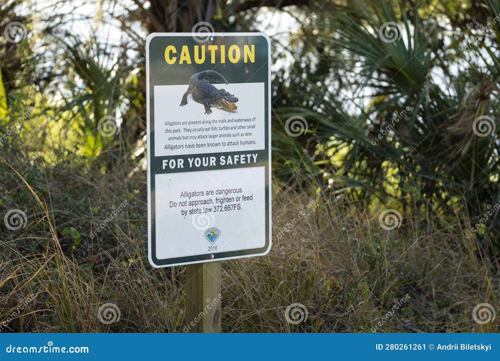 Alligators Warning Sign in Florida State Park about Caution and Safety ...