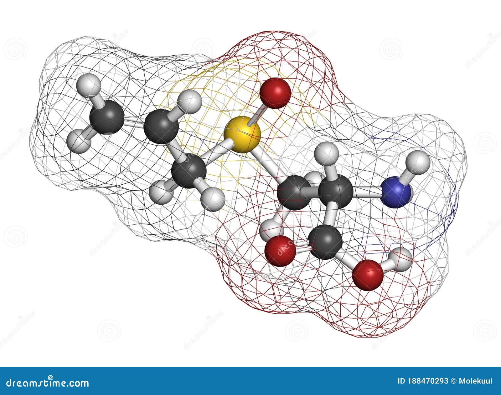 Alliin Garlic Molecule. Atoms are Represented As Spheres with ...