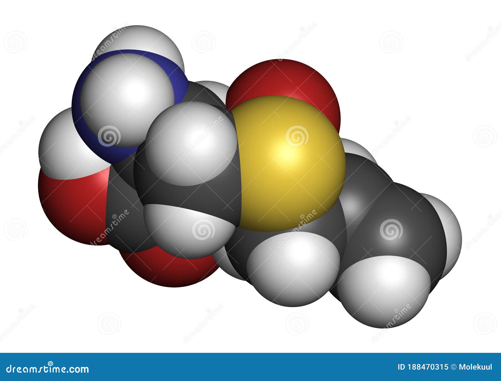 Alliin Garlic Molecule. Atoms are Represented As Spheres with ...