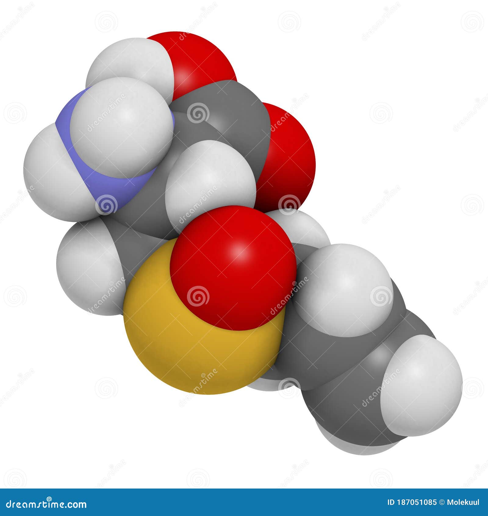 Allicin, Sulfoxide Molecule. This Compound Exhibits Antibacterial And ...