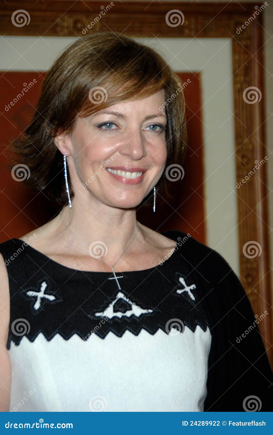 Allison Janney editorial photography. Image of style - 24289922