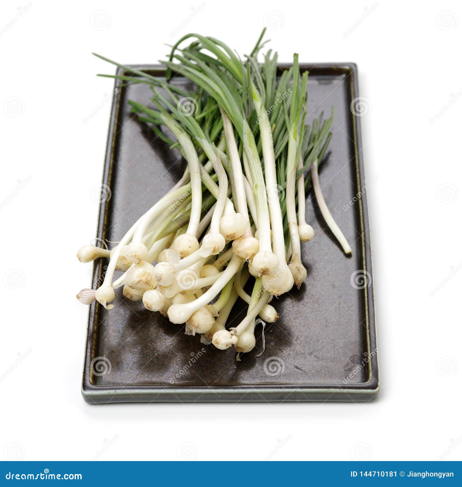 Allium macrostemon Bunge stock image. Image of asian - 144710181