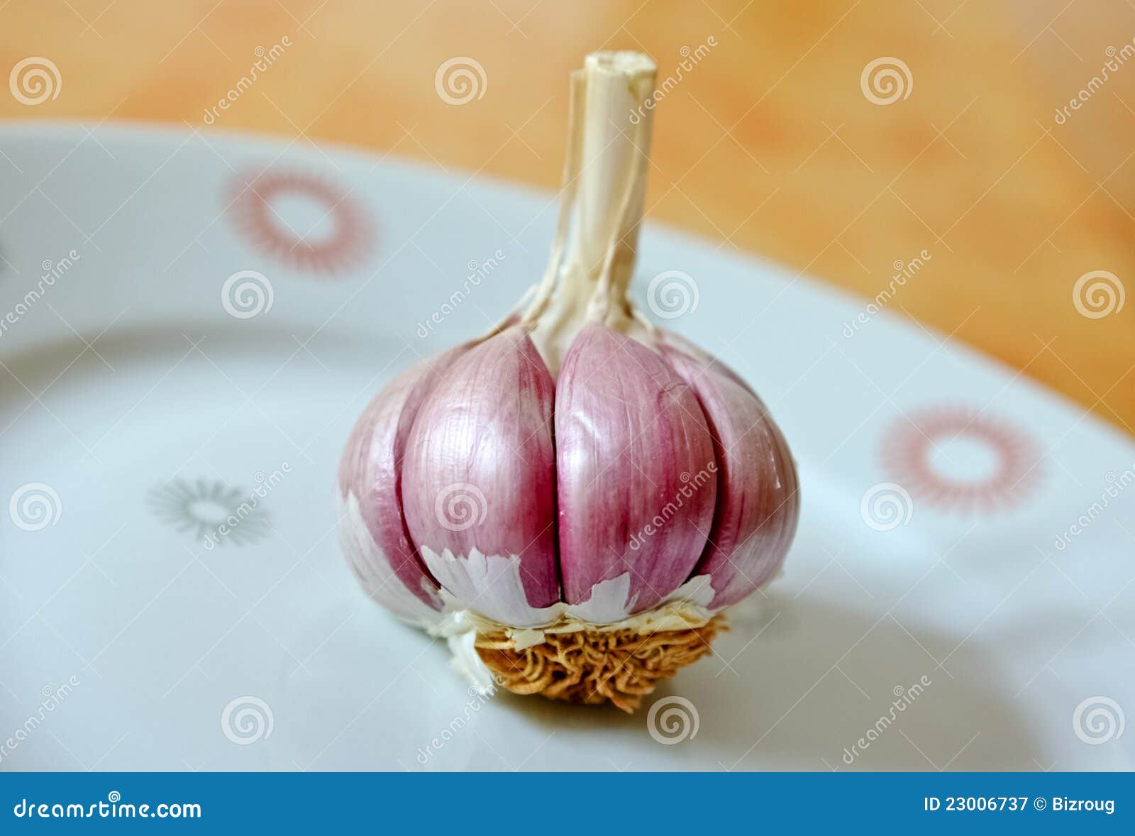 Allium sativum stock image. Image of food, bulb, bunch - 23006737