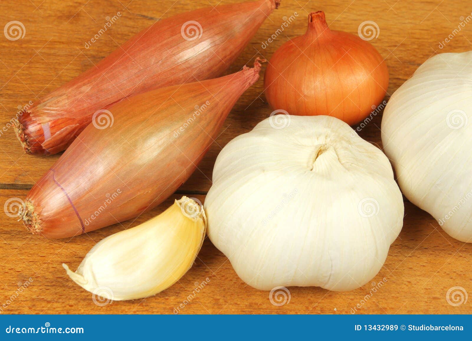Allium vegetables stock image. Image of allium, bulb - 13432989